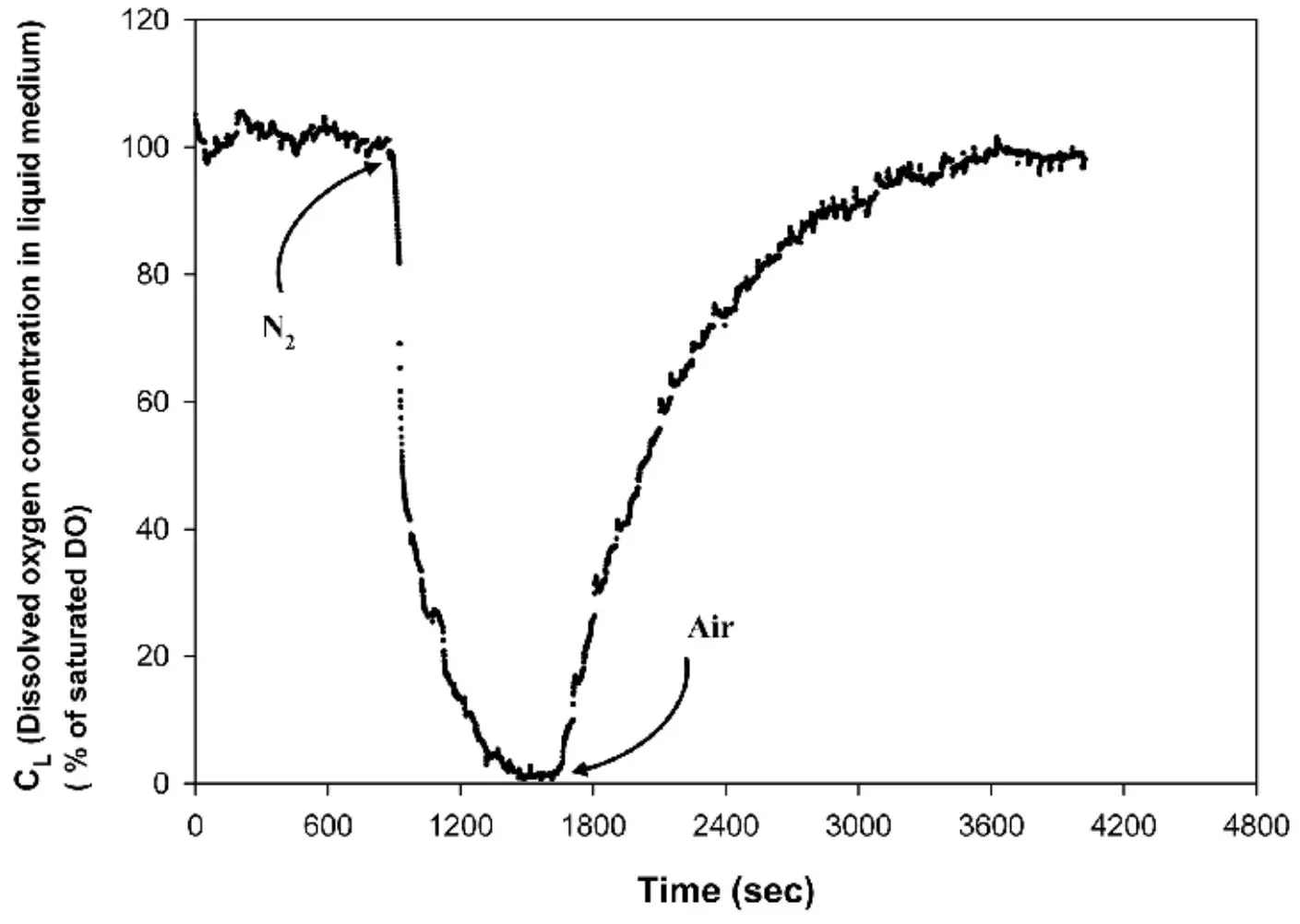 What the kLa tells you about the oxygen transfer in your bioreactor ...