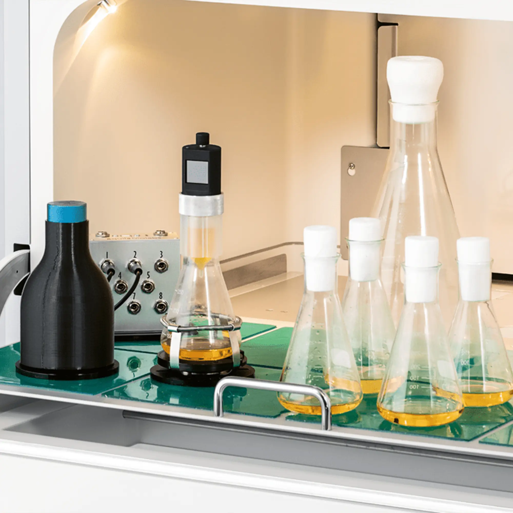 5 ways to increase biomass in your shake flasks | INFORS HT